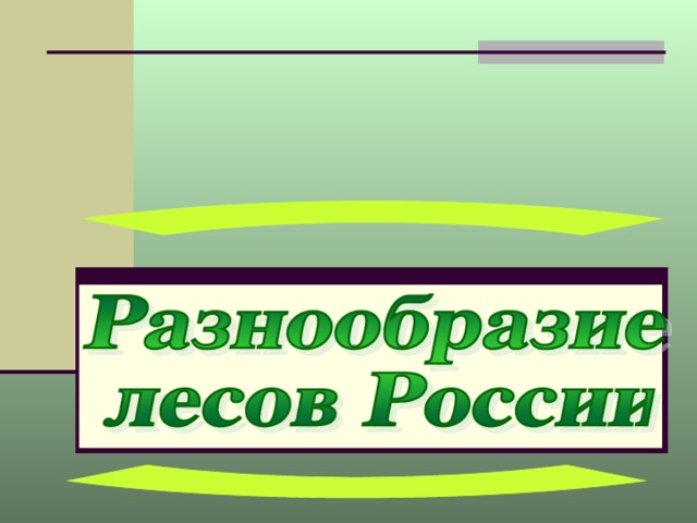 Разнообразие лесов России 8 класс Презентация
