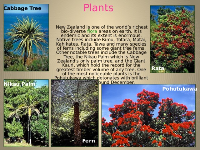 К уроку Some facts about New Zealand