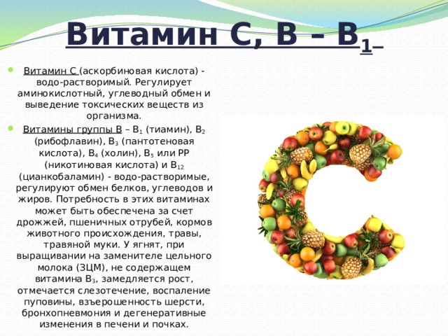 Презентация на тему "Основы кормления сельскохозяйственных животных ...