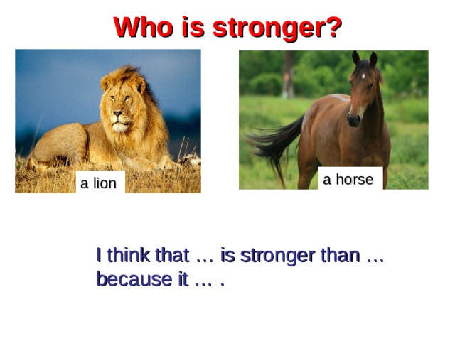 Degrees Of Comparison
