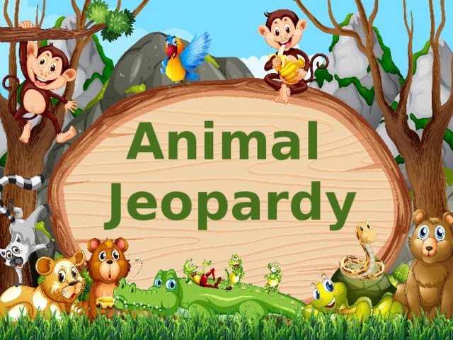 ESL Jepardy game Animals