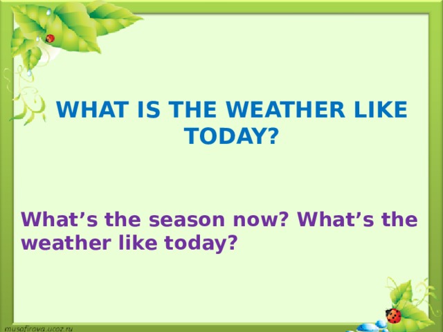 Презентация на тему "What is the weather like today?