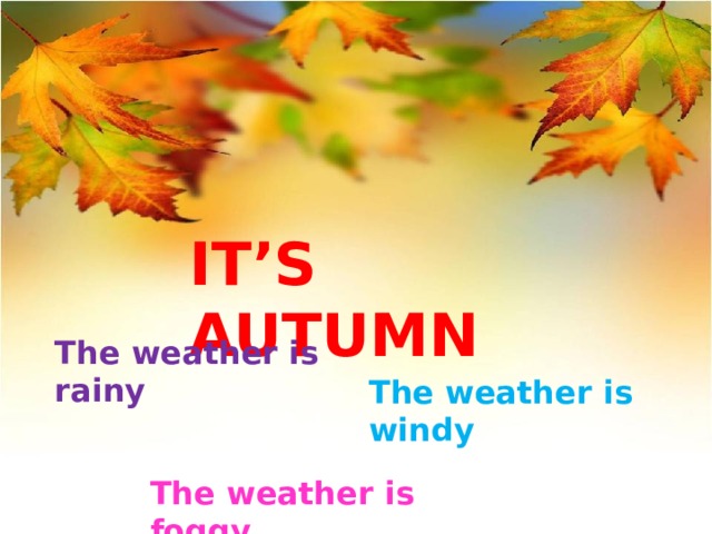 Презентация на тему "What is the weather like today?