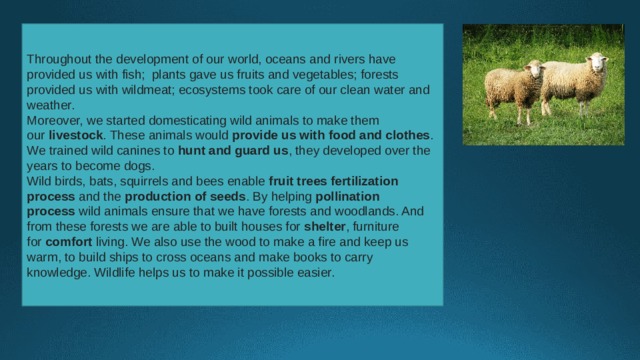 Presentation 3rd grade. Animals