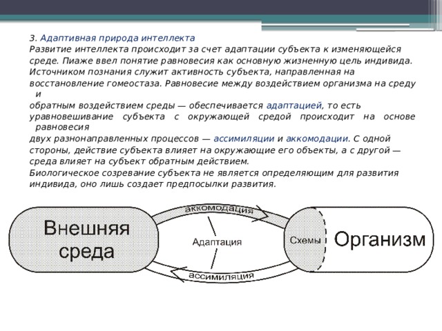 Теория интеллектуального развития Ж Пиаже