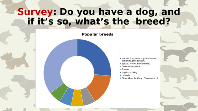 The origin of the names of dog breeds in English language презентация