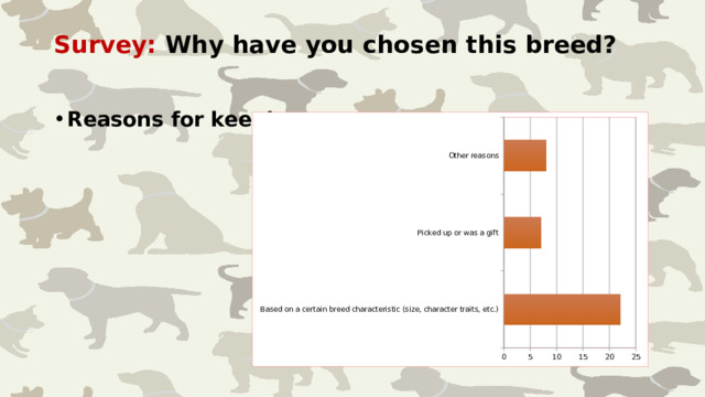 The origin of the names of dog breeds in English language презентация
