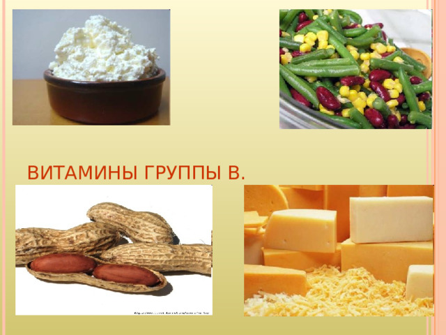 Обмен веществ, Витамины