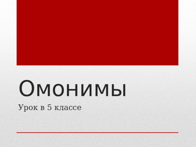 Презентация Омонимы к уроку русского языка в 5 классе