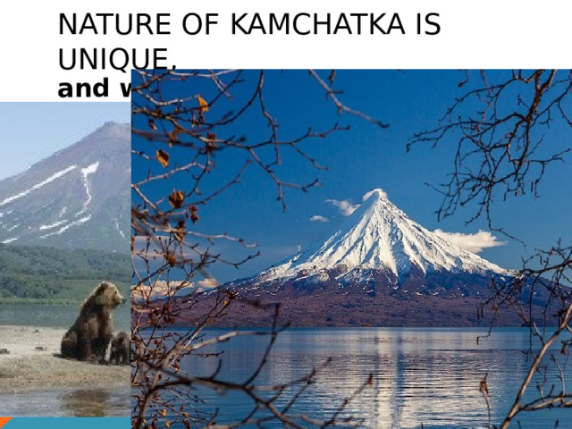 Kamchatka's biodiversity is of global status (Глобальное значение ...
