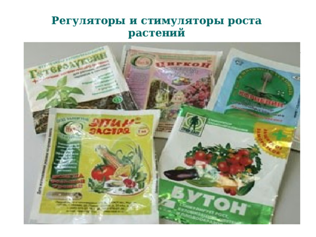 Влияние природного регулятора и стимулятора роста «Эпин-Экстра» на горох