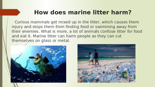 Презентация к уроку УМК Spotlight, 10 класс Marine litter