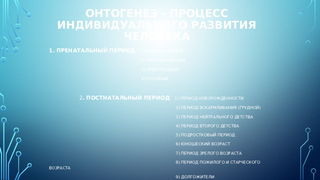 Презентация "Этапы онтогенеза человека"