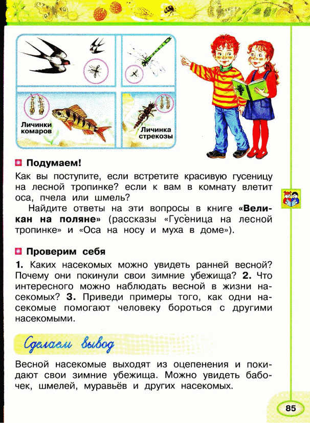 Задание по функциональной грамотности 2 класс окружающий мир Весна в ...