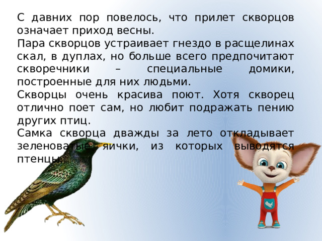Презентация "Мир птиц" для детей среднего дошкольного возраста