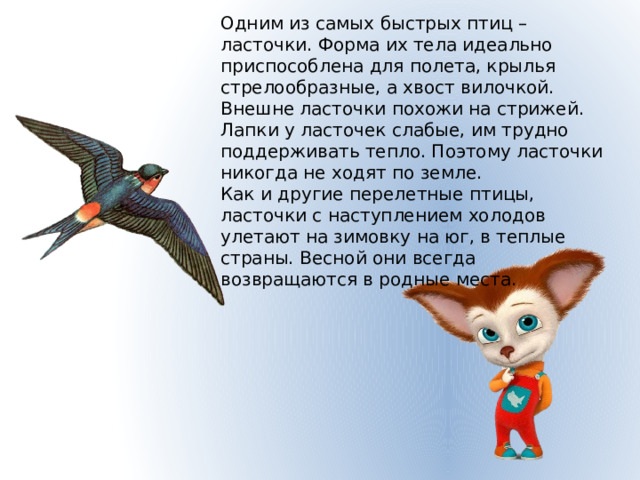 Презентация "Мир птиц" для детей среднего дошкольного возраста