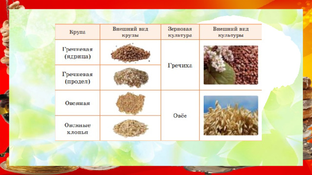 Презентация " Крупы в питании человека"