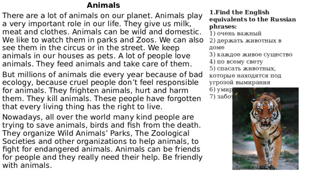Presantations about animals