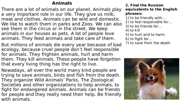 Presantations about animals