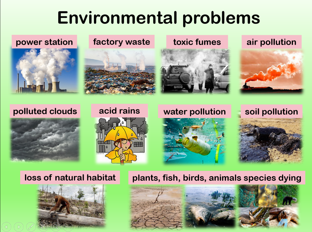 Тема: «Let’s speak about ecology»
