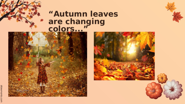 Презентация "Why do we like autumn?"