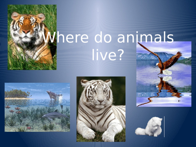 Animals. Презентация для начальных классов