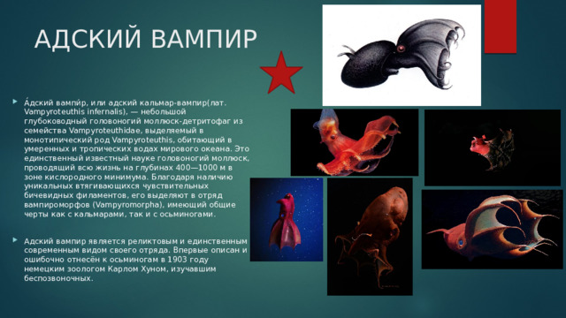 Презентация по биологии "Глубоководные животные"